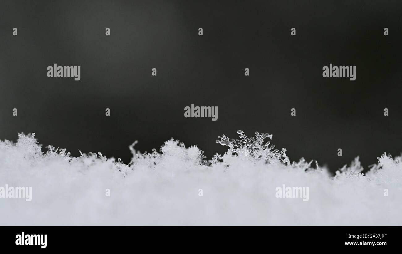 Real snow background closeup hi-res stock photography and images - Alamy