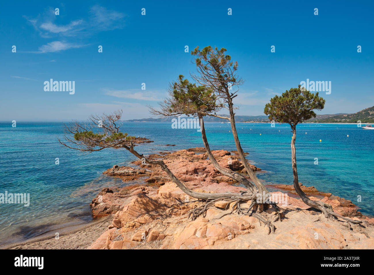The red rocks of Palombaggia beach / Plage de Palombaggia a popular ...