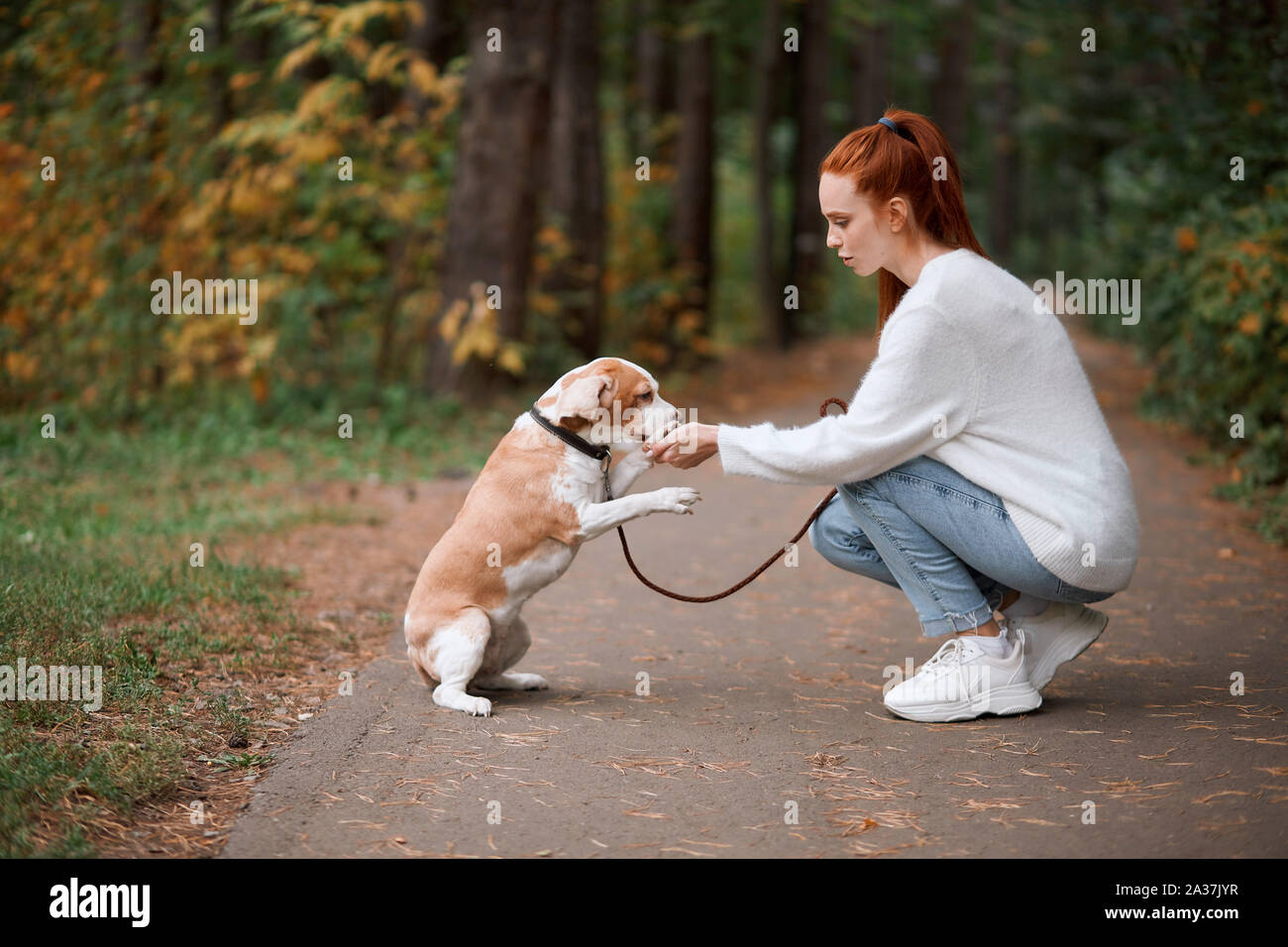 beautiful female owner holding her pat's paw, saying hello. Give me ...