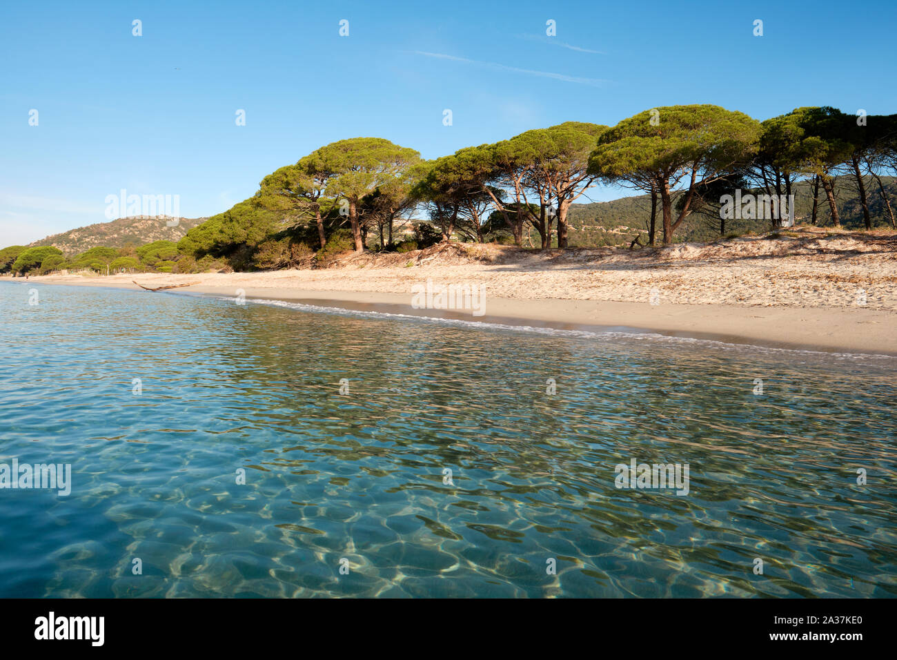 Palombaggia beach / Plage de Palombaggia a popular scenic, clear-water ...