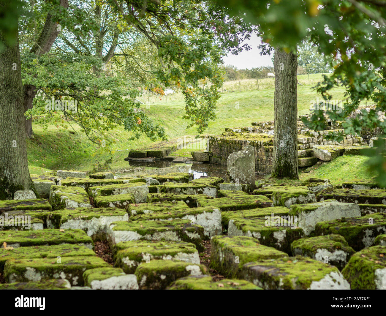 ancient stones at Chesters Bridge abutment part of Hadrian's Wall near ...