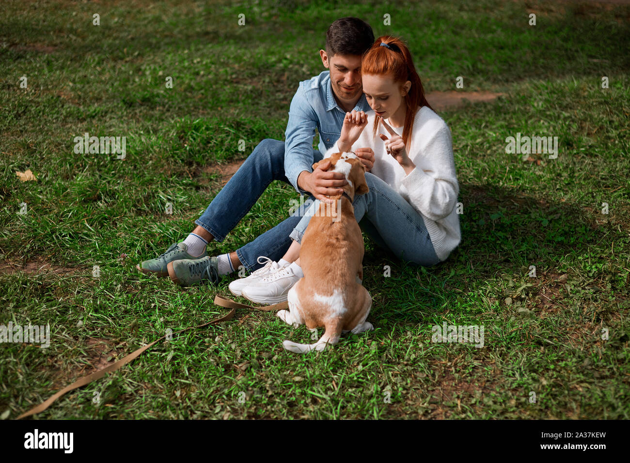 family enjoying playing with pet outdoors, full length photo. happiness ...