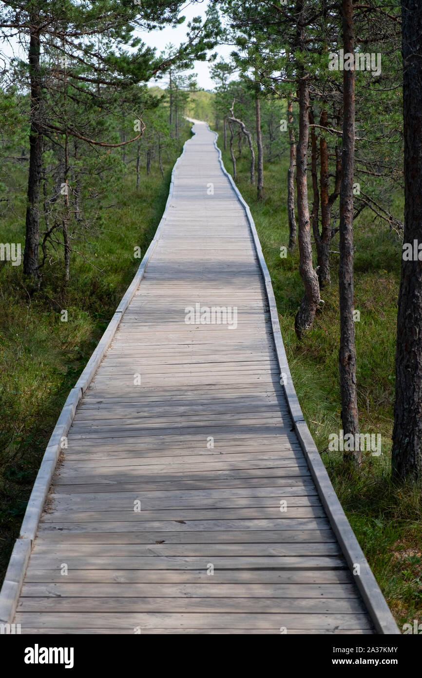 Viru bog trail hi-res stock photography and images - Alamy