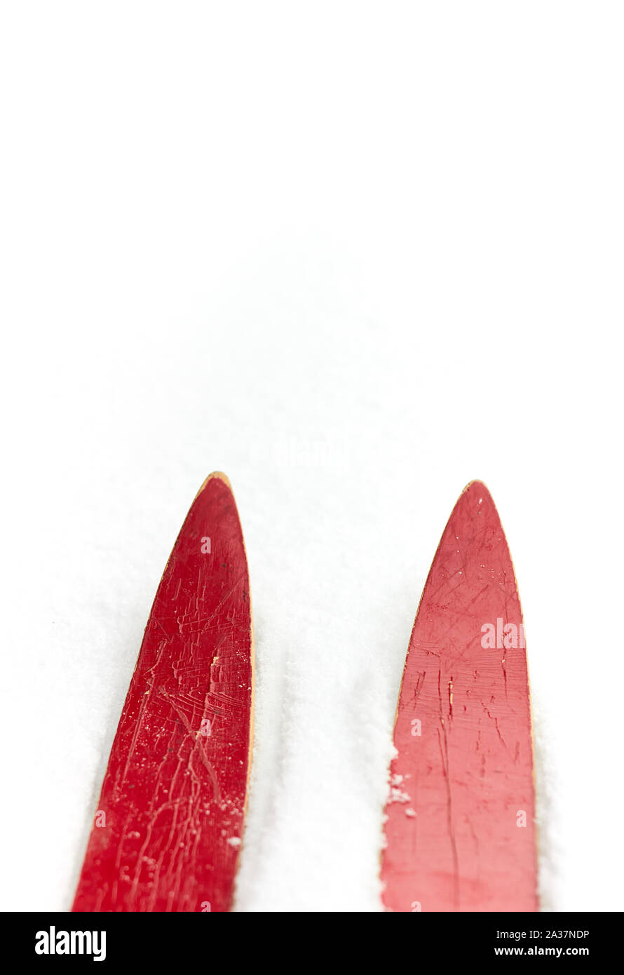 Festive winter garden Cut Out Stock Images & Pictures - Alamy