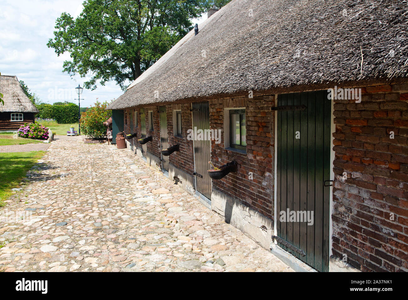 Historic stable with thatched roof, with path of cobble stones, Drenthe ...
