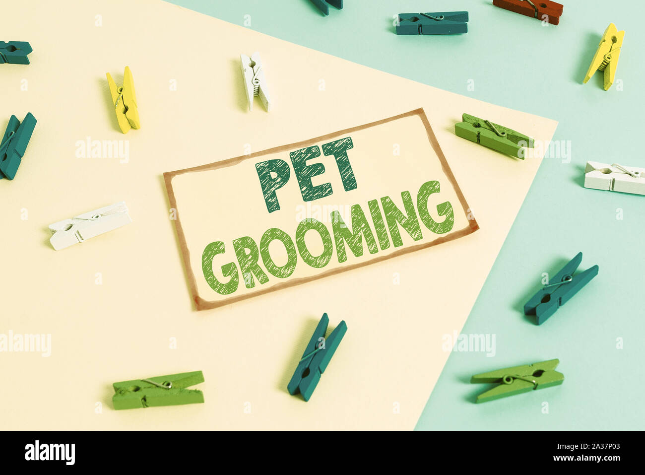 Writing note showing Pet Grooming. Business concept for hygienic care ...