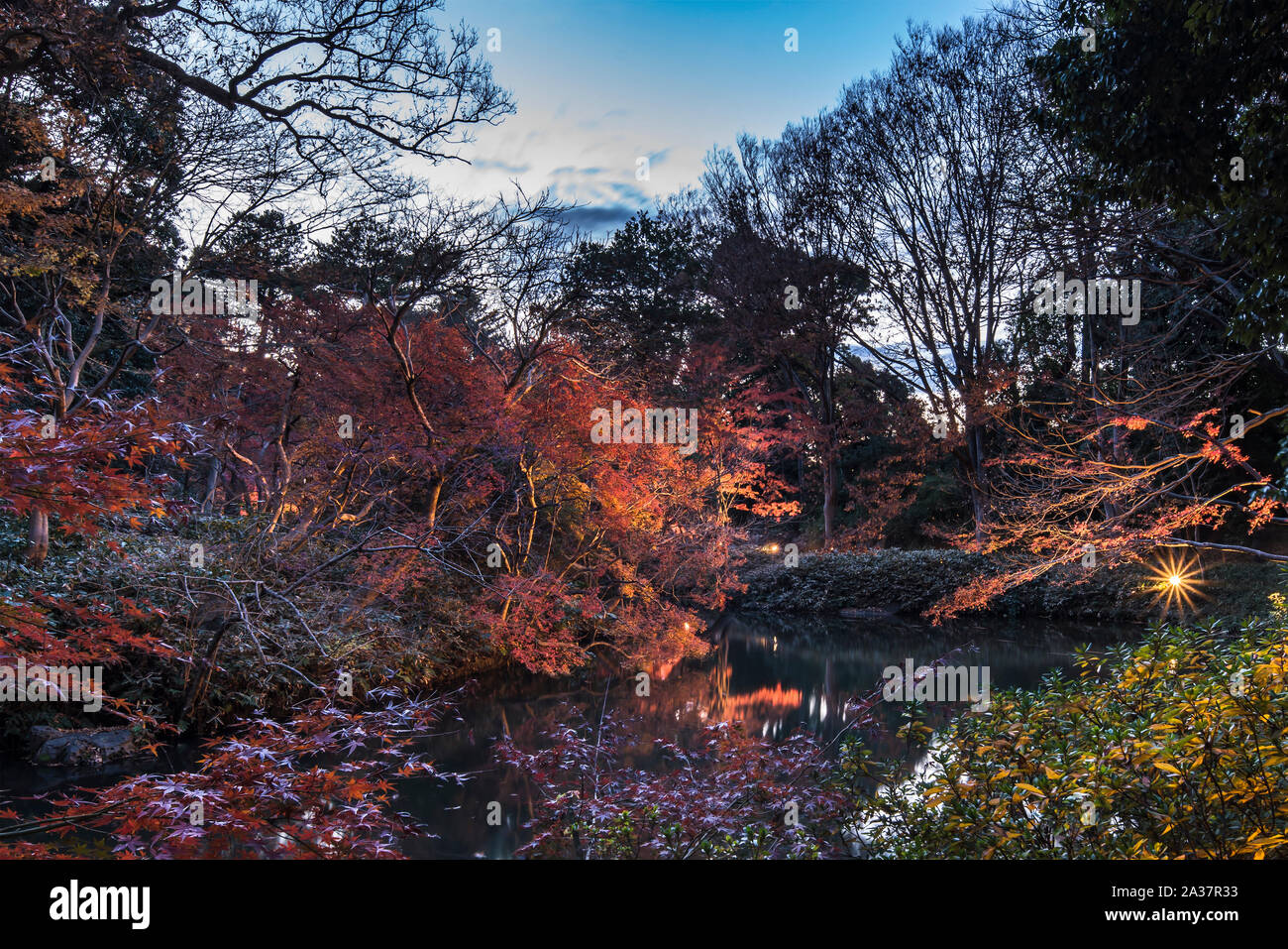 Tokyo rikugi en hi-res stock photography and images - Alamy
