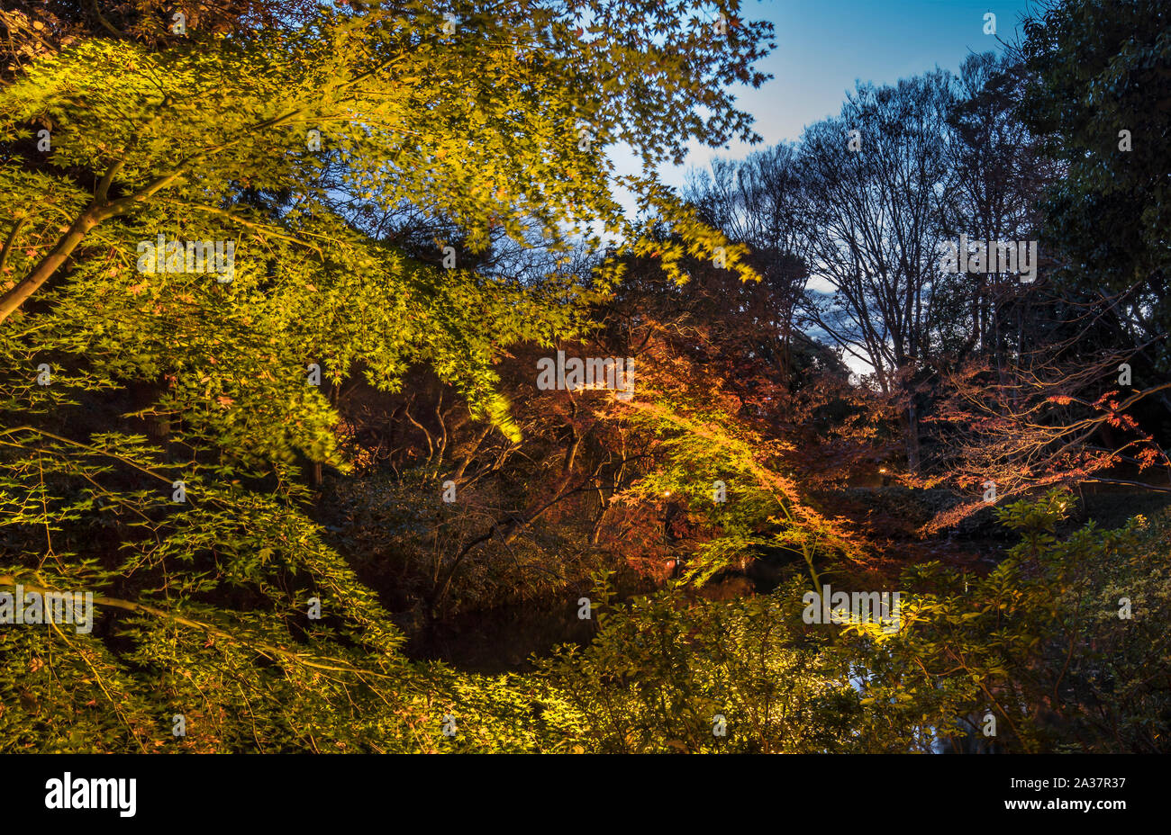 Tokyo rikugi en hi-res stock photography and images - Alamy