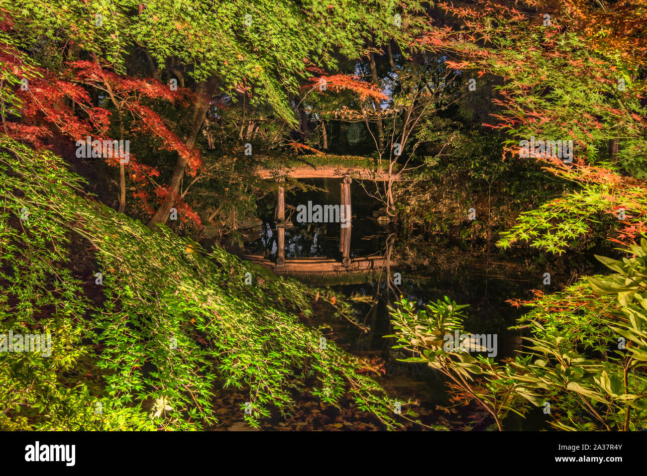 Rikugien garden at night hi-res stock photography and images - Alamy