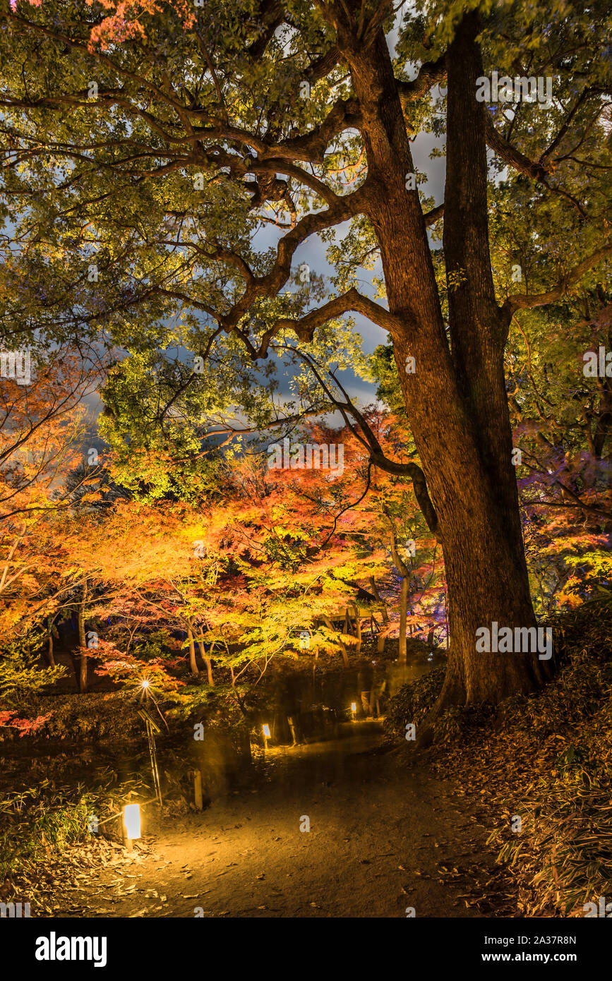 Tokyo rikugi en hi-res stock photography and images - Alamy