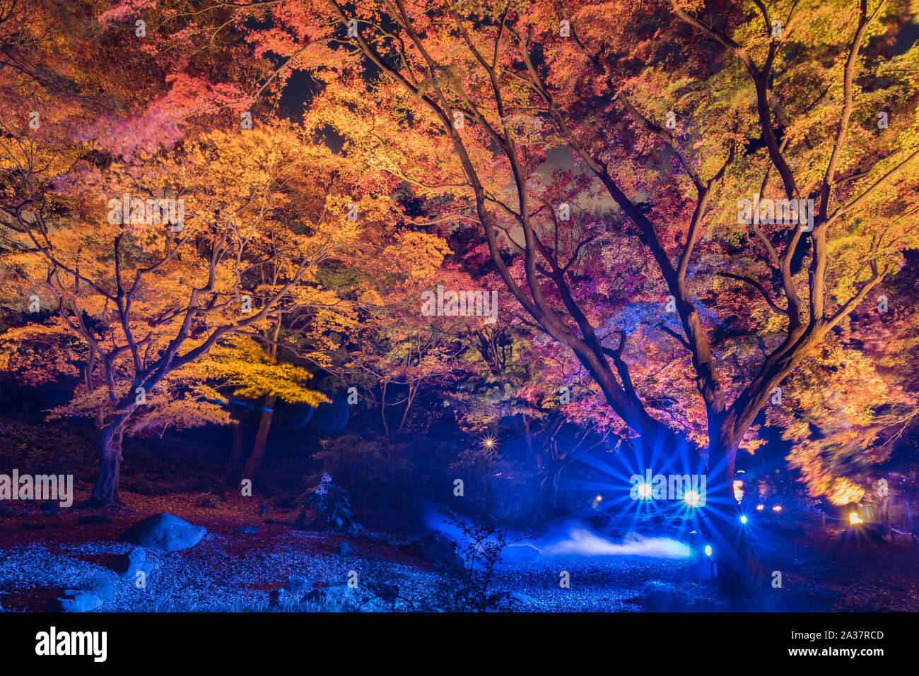 Tokyo rikugi en hi-res stock photography and images - Alamy