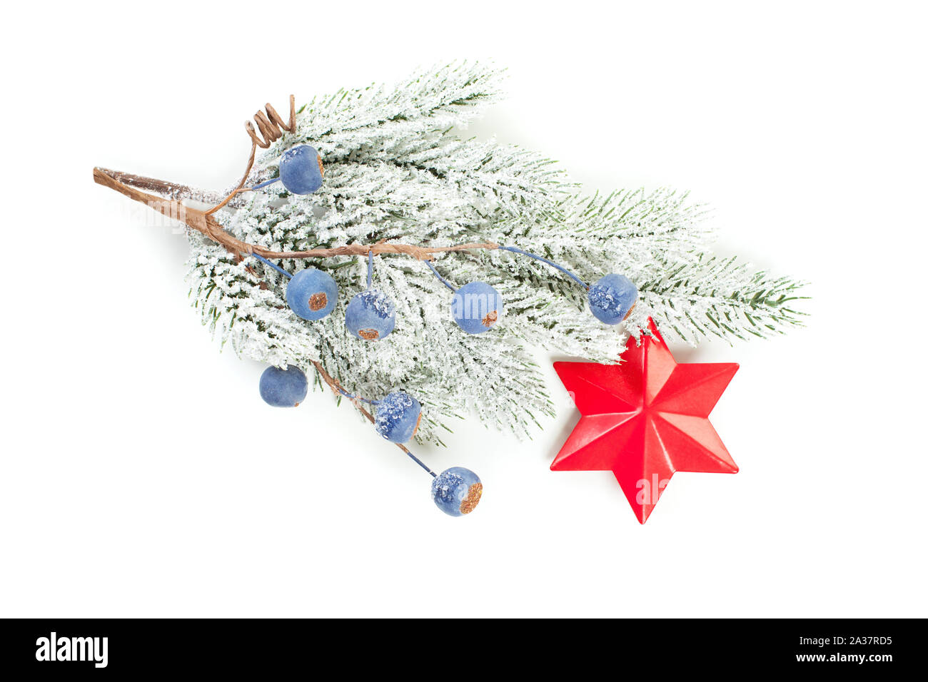 Christmas evergreen tree branch with red star decor isolated on white ...