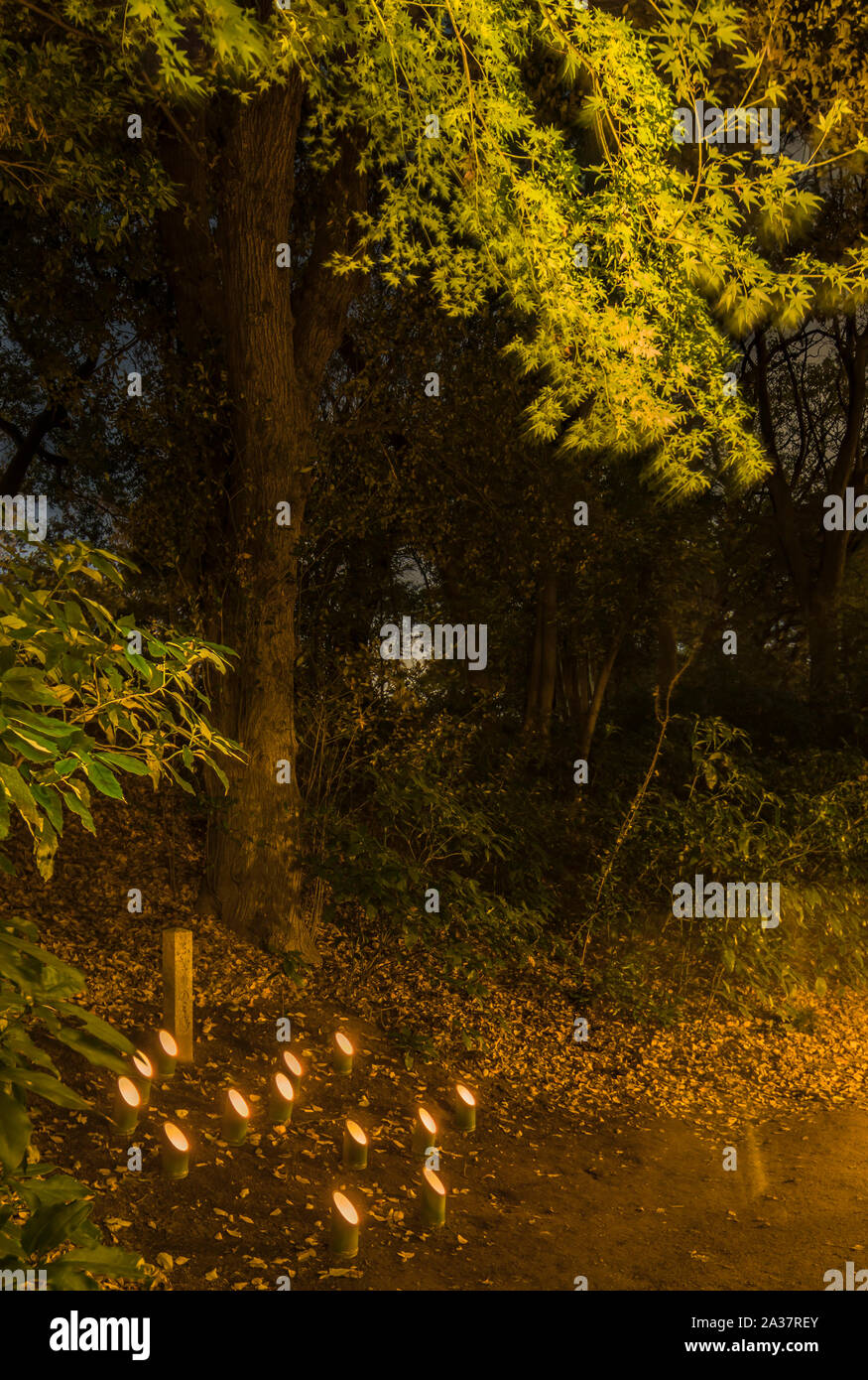 Tokyo rikugi en hi-res stock photography and images - Alamy