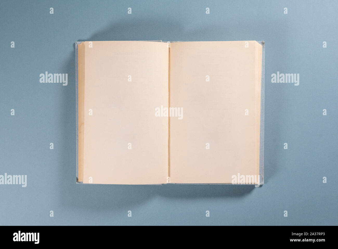 Open blank page book with copy space on blue background Stock Photo - Alamy