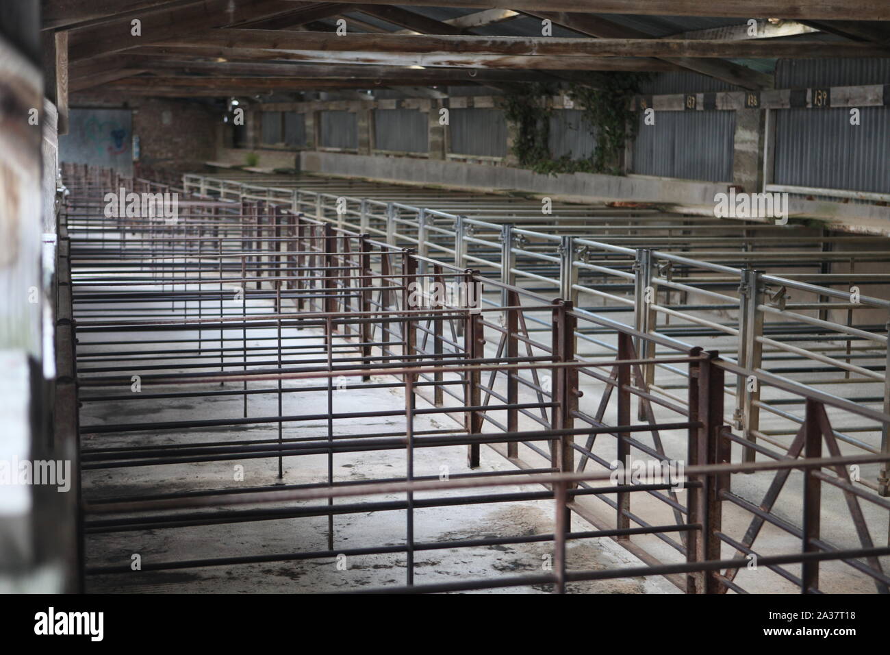 Empty sheep pens hi-res stock photography and images - Alamy