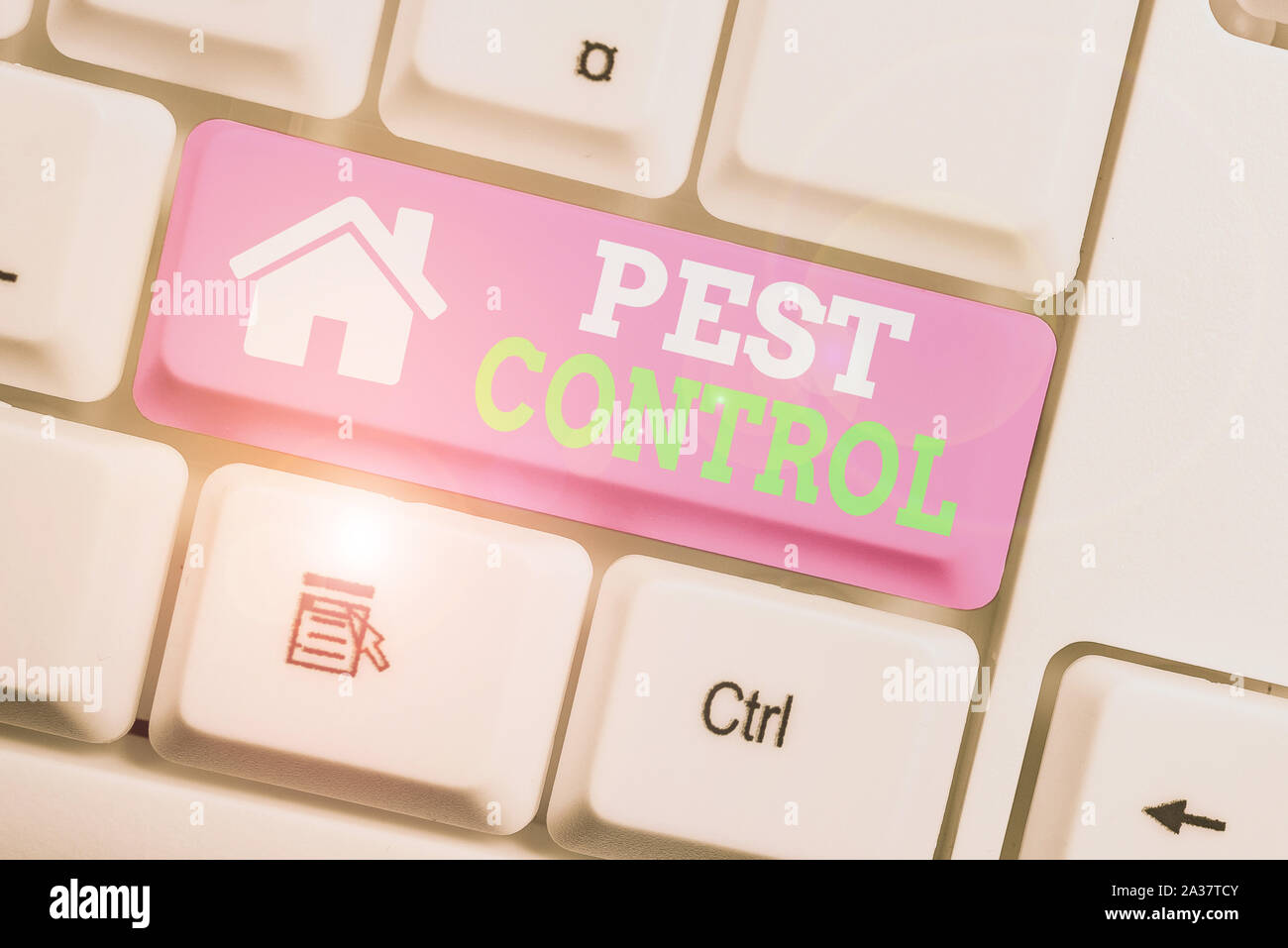 Text sign showing Pest Control. Business photo showcasing ...