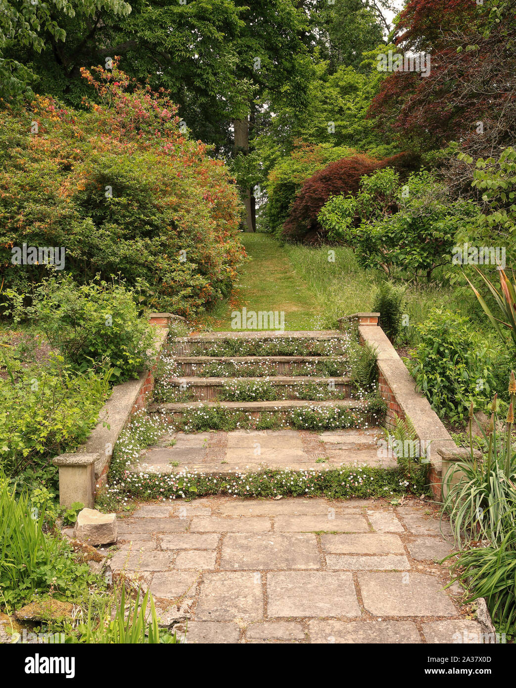 Steps paving hi-res stock photography and images - Alamy