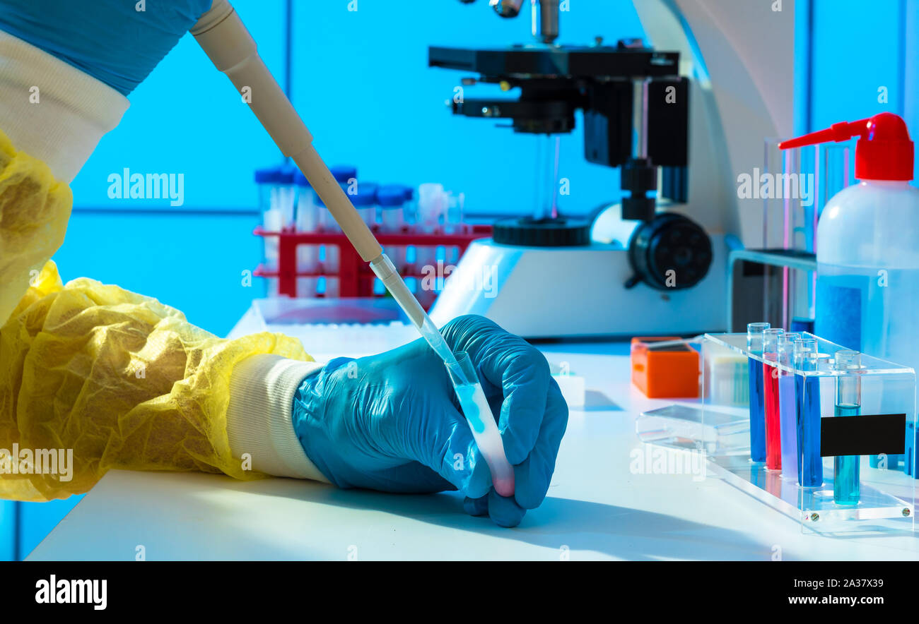 Microbiological experiment in medical laboratory. testing genetic ...