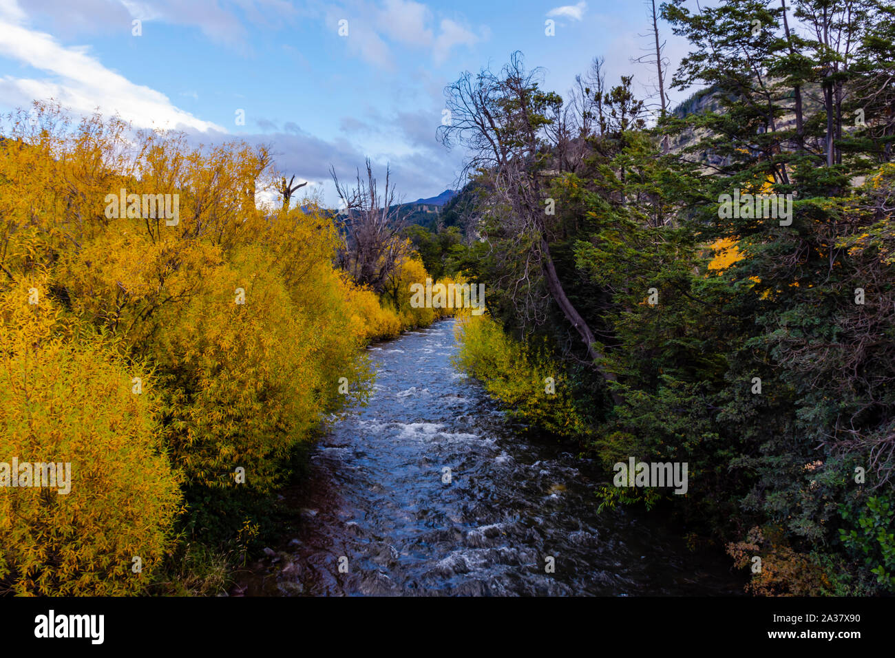 colorful scene view of a creek during autumn season in Patagonia Stock ...