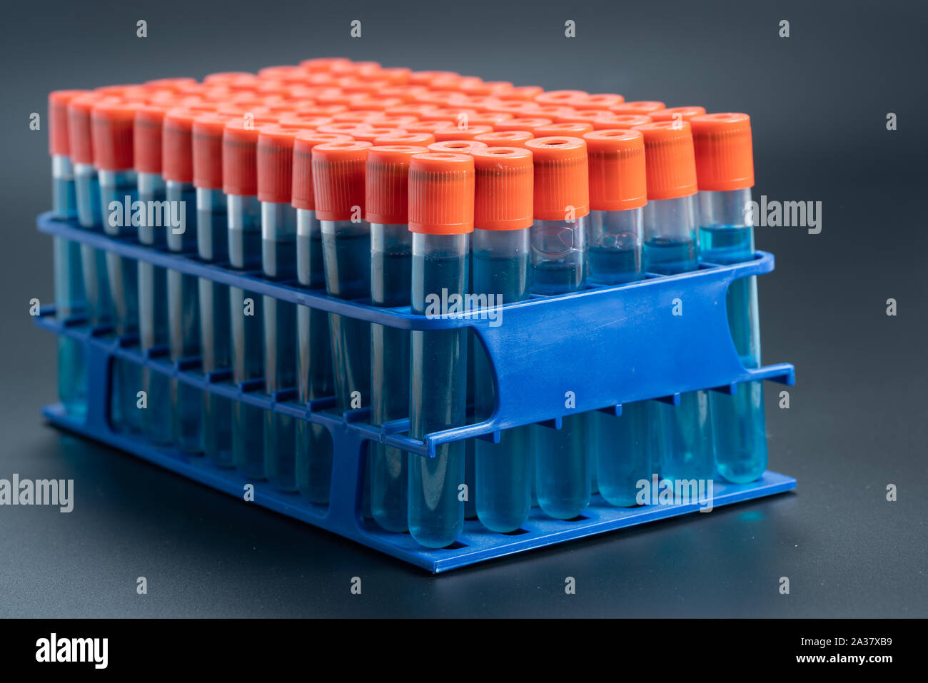 Test tubes with chemical samples in science laboratory Stock Photo - Alamy