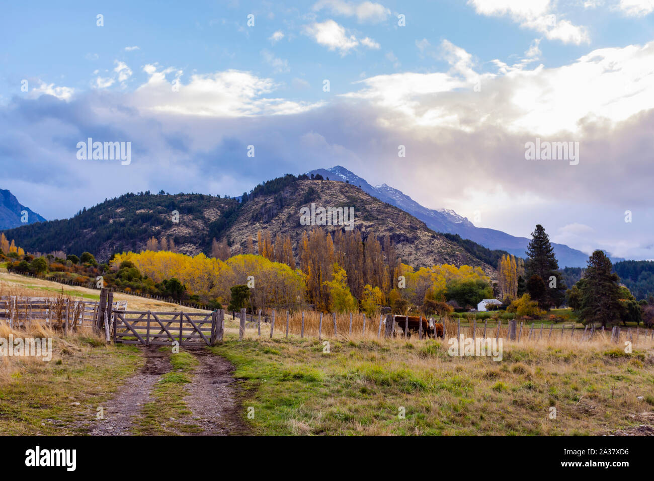 Colorful rural scene view of countryside in Patagonia during autumn ...