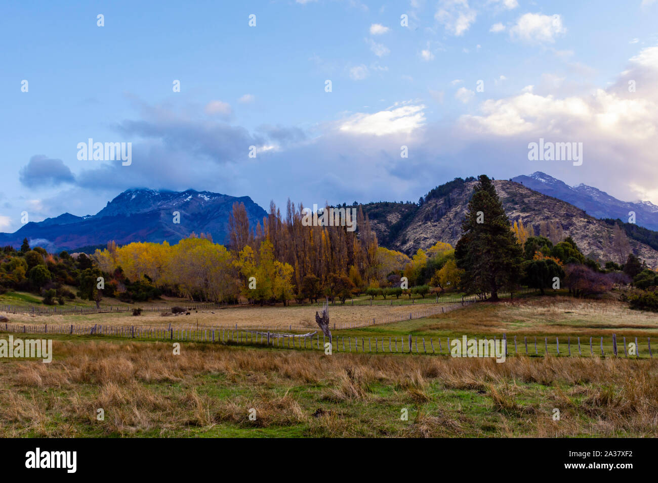 Colorful rural scene view of countryside in Patagonia during autumn ...