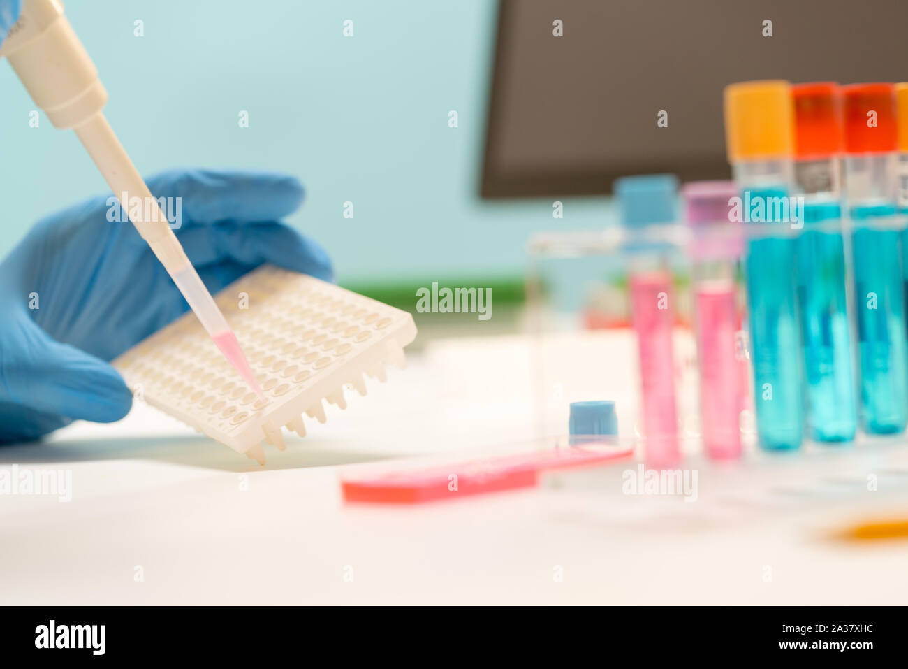 Scientific experiment in microbiological lab. Microscope and test tube ...