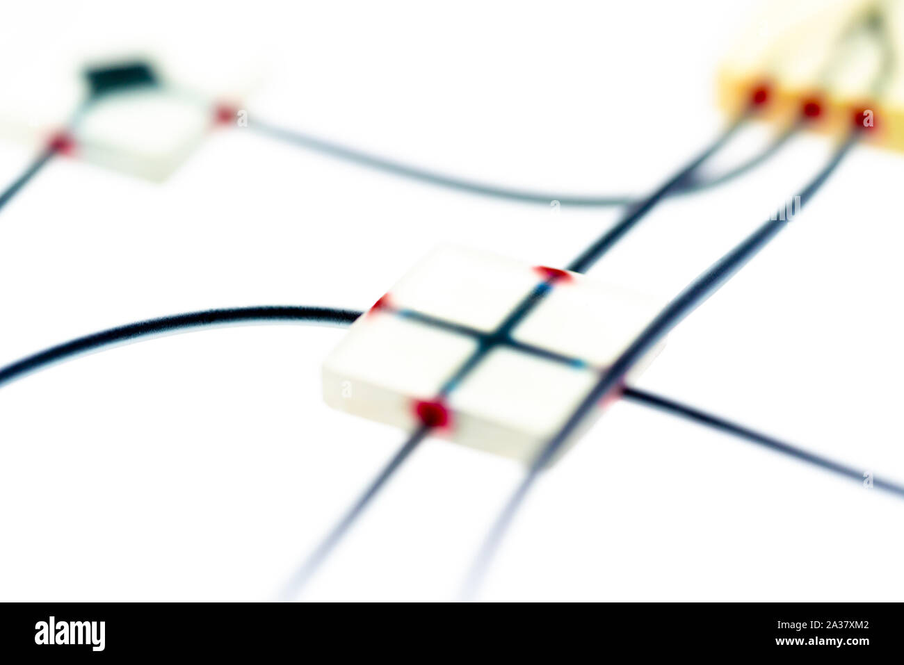 Organ-on-a-chip (OOC) - microfluidic device chip that simulates ...