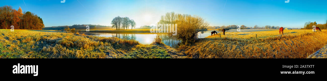 Landwirtschaft mit pferden hi-res stock photography and images - Alamy