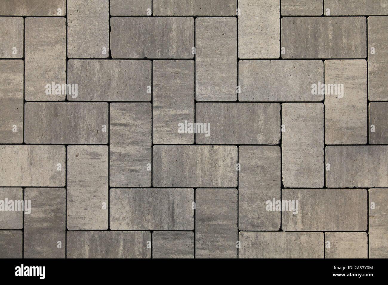 Paving slabs of gray blocks regular shape close-up. New pavement in the ...
