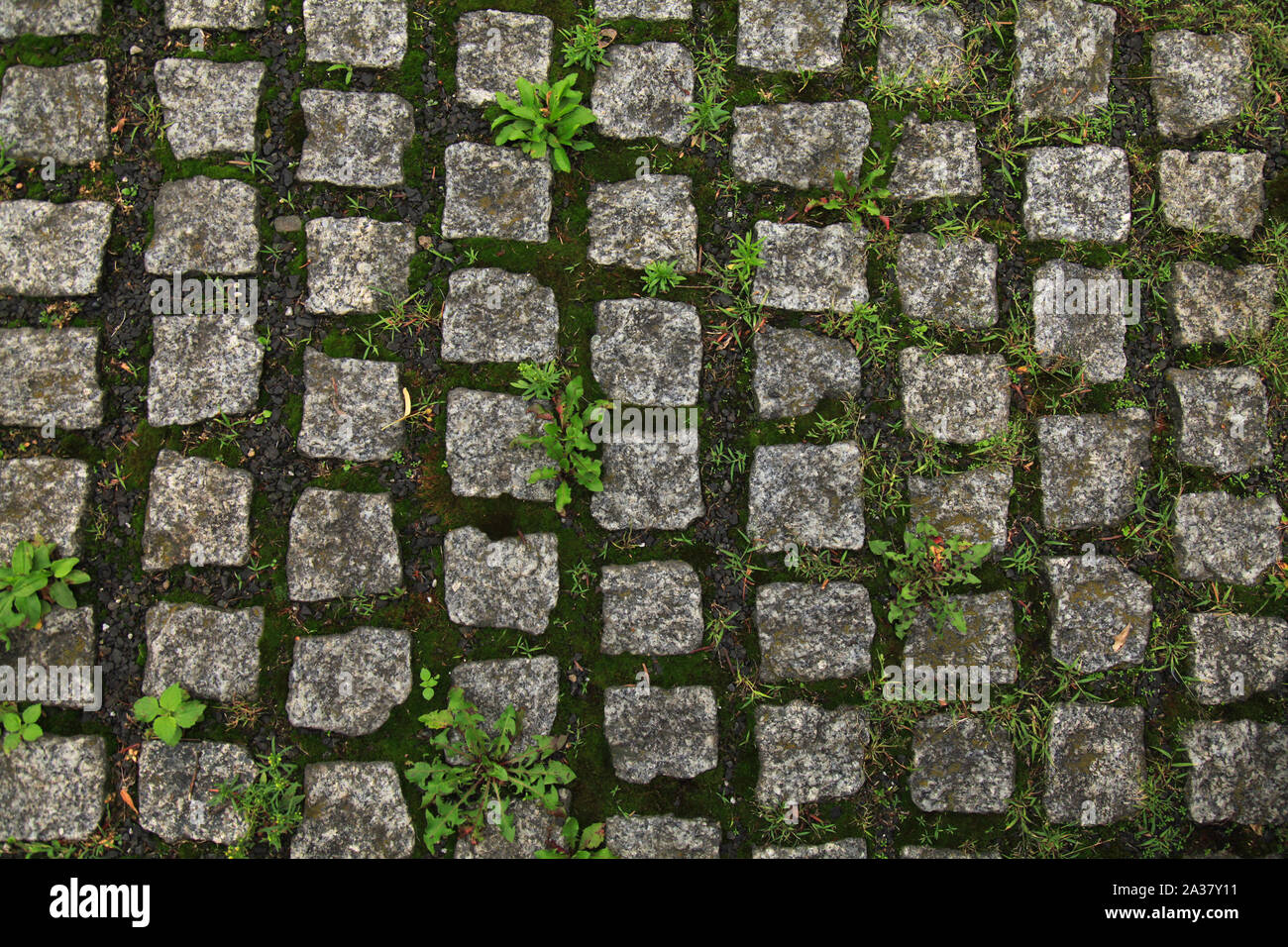 Paving blocks hi-res stock photography and images - Alamy