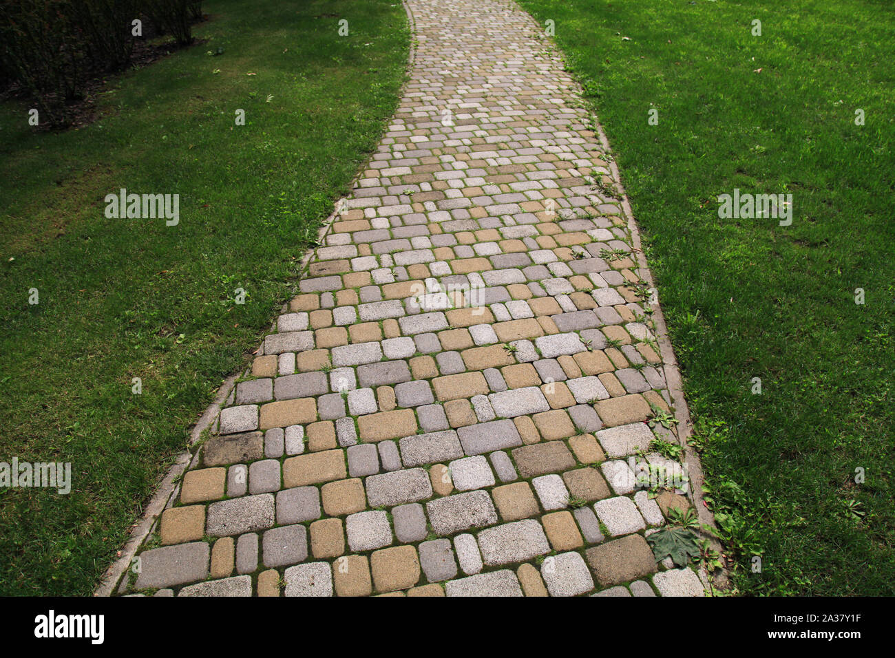 Stone footpath in a small park. The cobblestone road. Landscaping ...