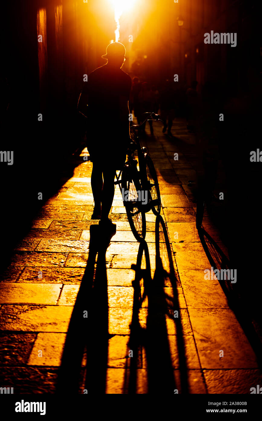 backlit man and bicycle Stock Photo - Alamy