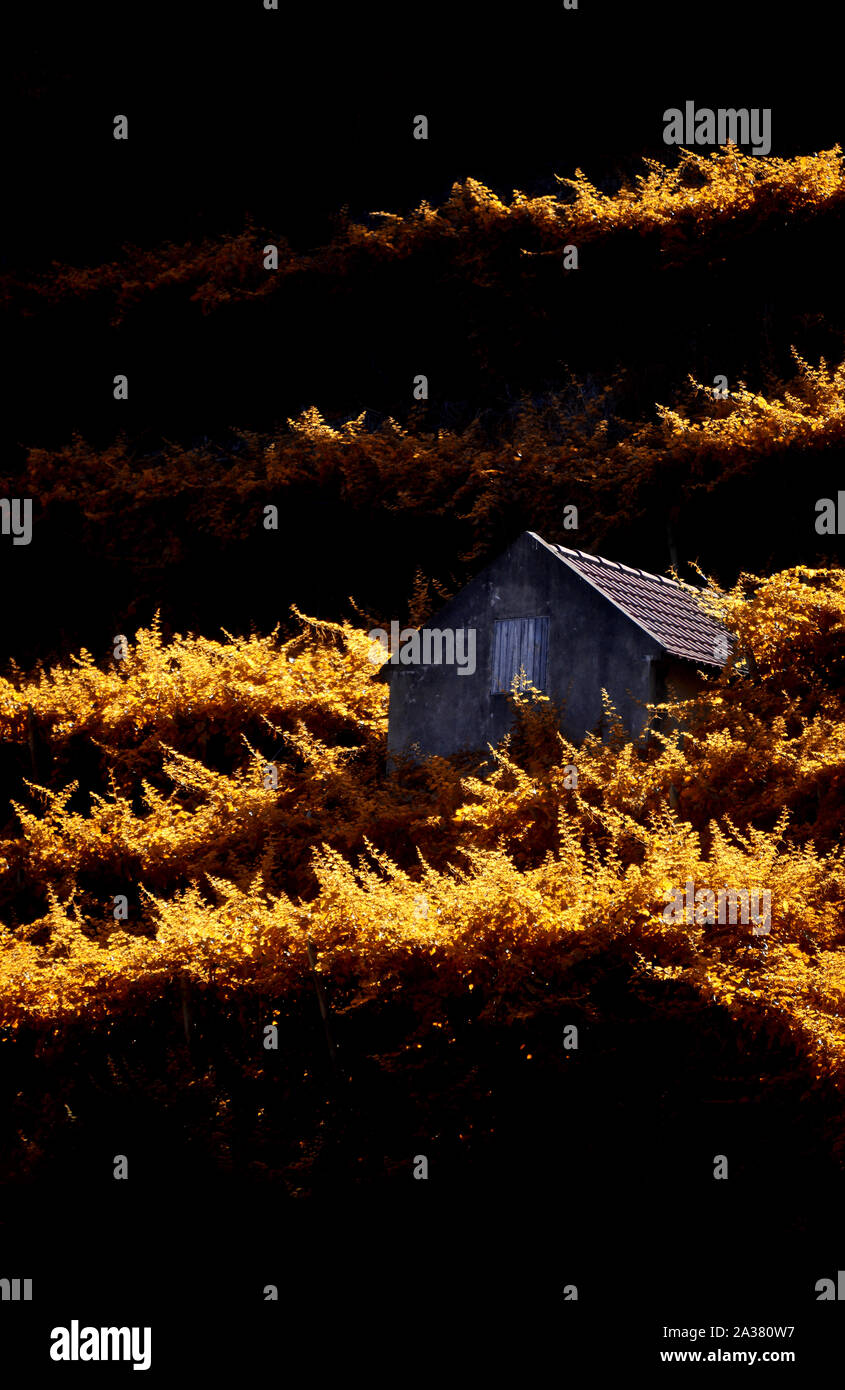 Beautiful sunrise golden hour hi-res stock photography and images - Alamy