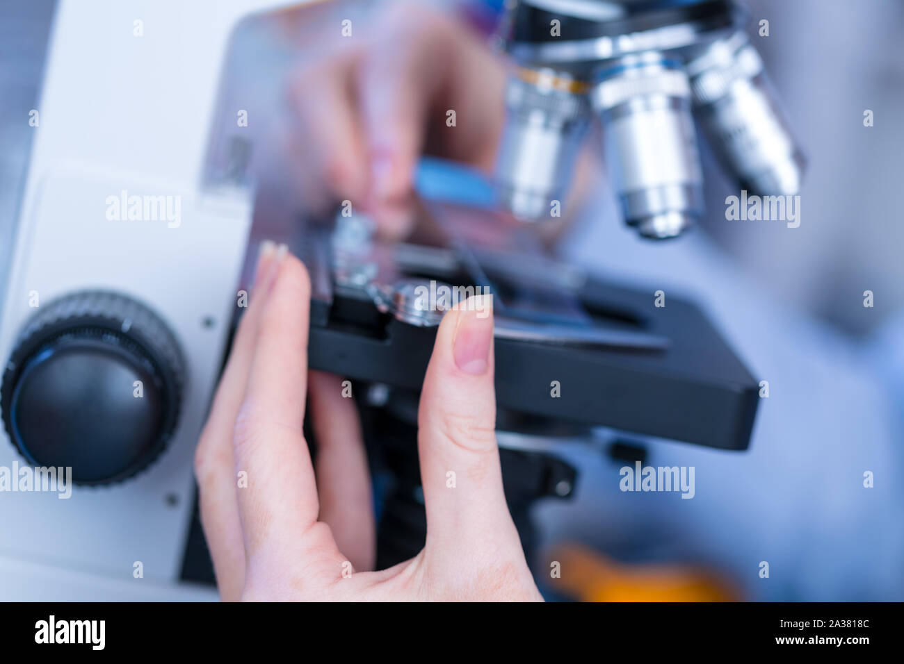 Microscope slide in the laboratory Stock Photo - Alamy