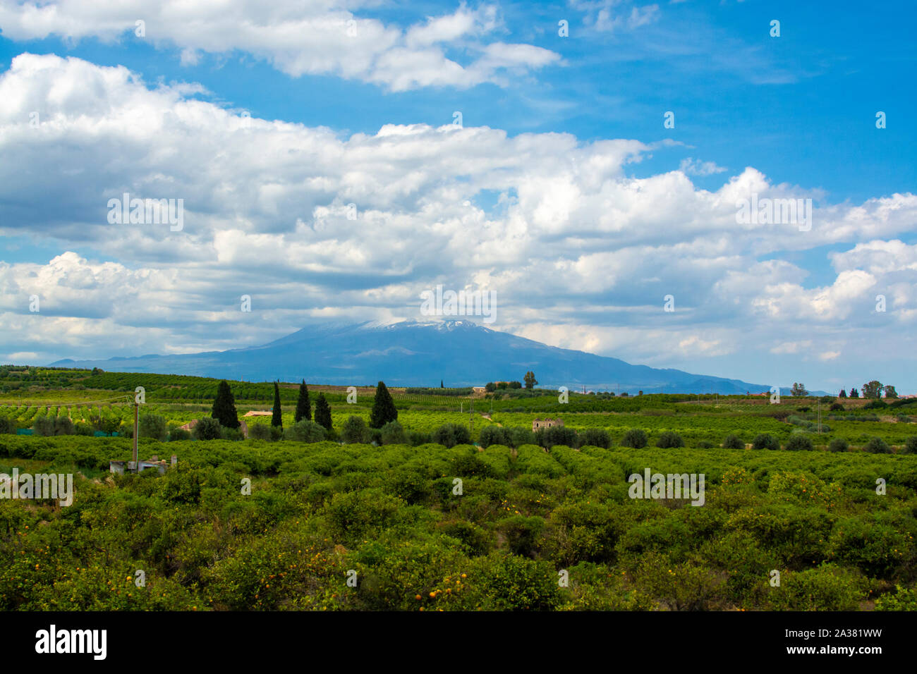 Etna vulcano harvest hi-res stock photography and images - Alamy