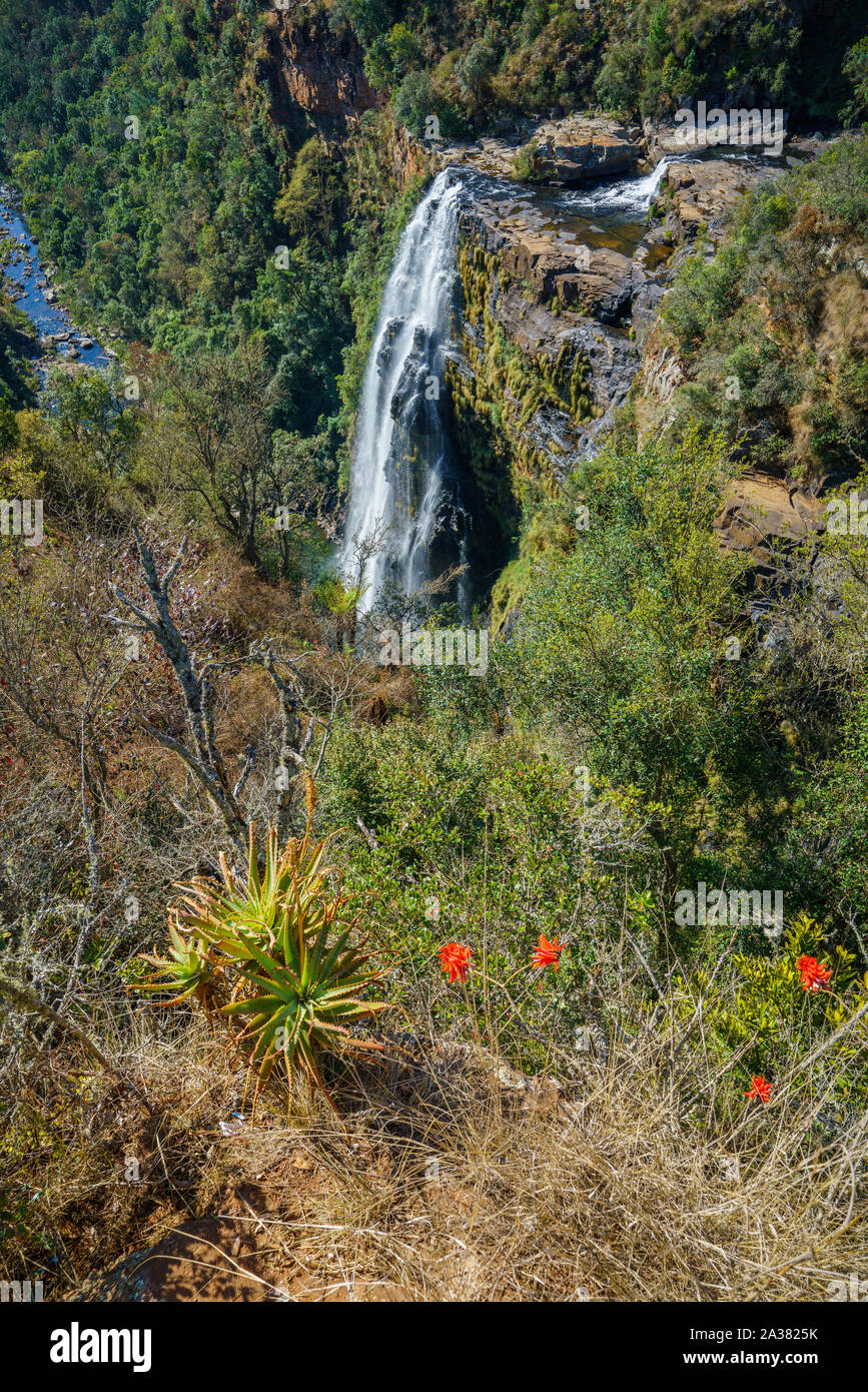 beautiful waterfall lisbon falls at panorama route in mpumalanga, south ...