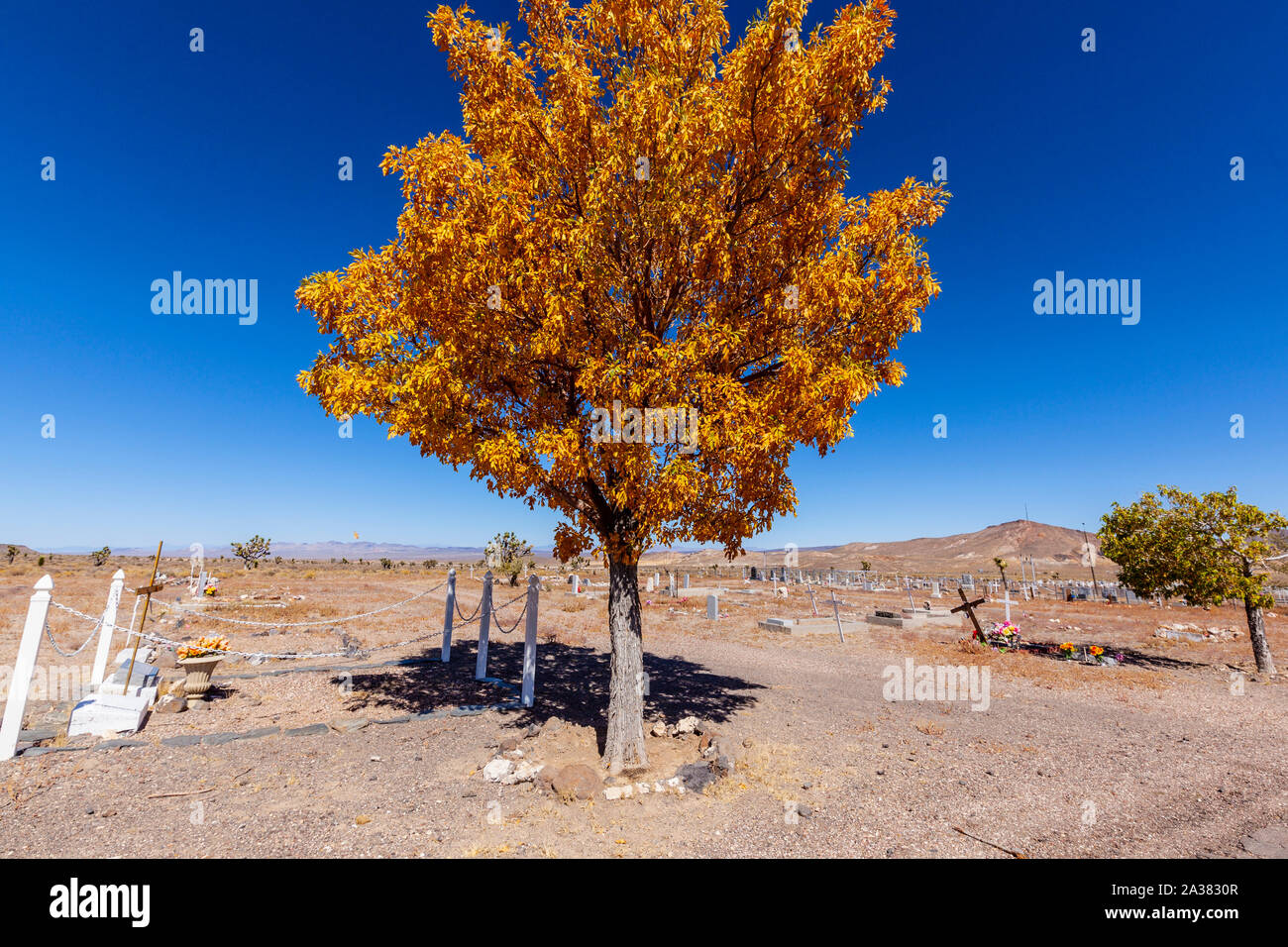 Goldfield history hi-res stock photography and images - Alamy