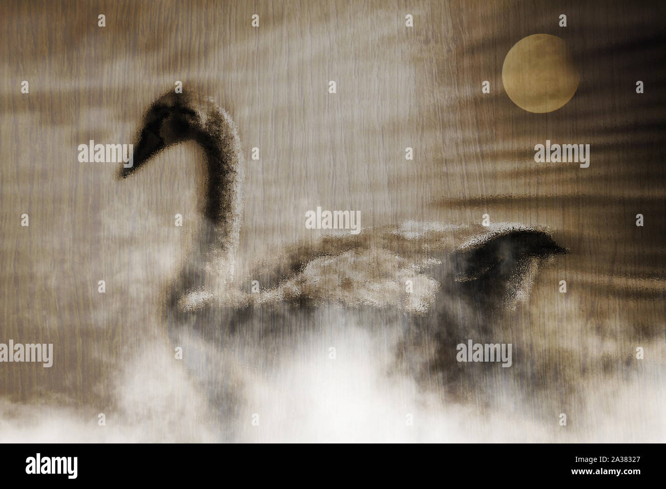 Concept nature : The swan Stock Photo - Alamy