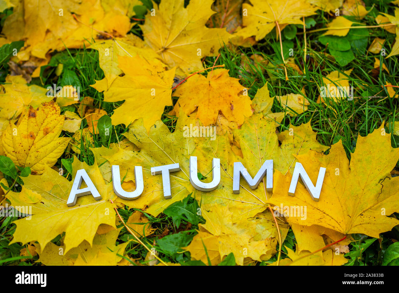 The word AUTUMN laid with aluminium thick letters on the ground with ...