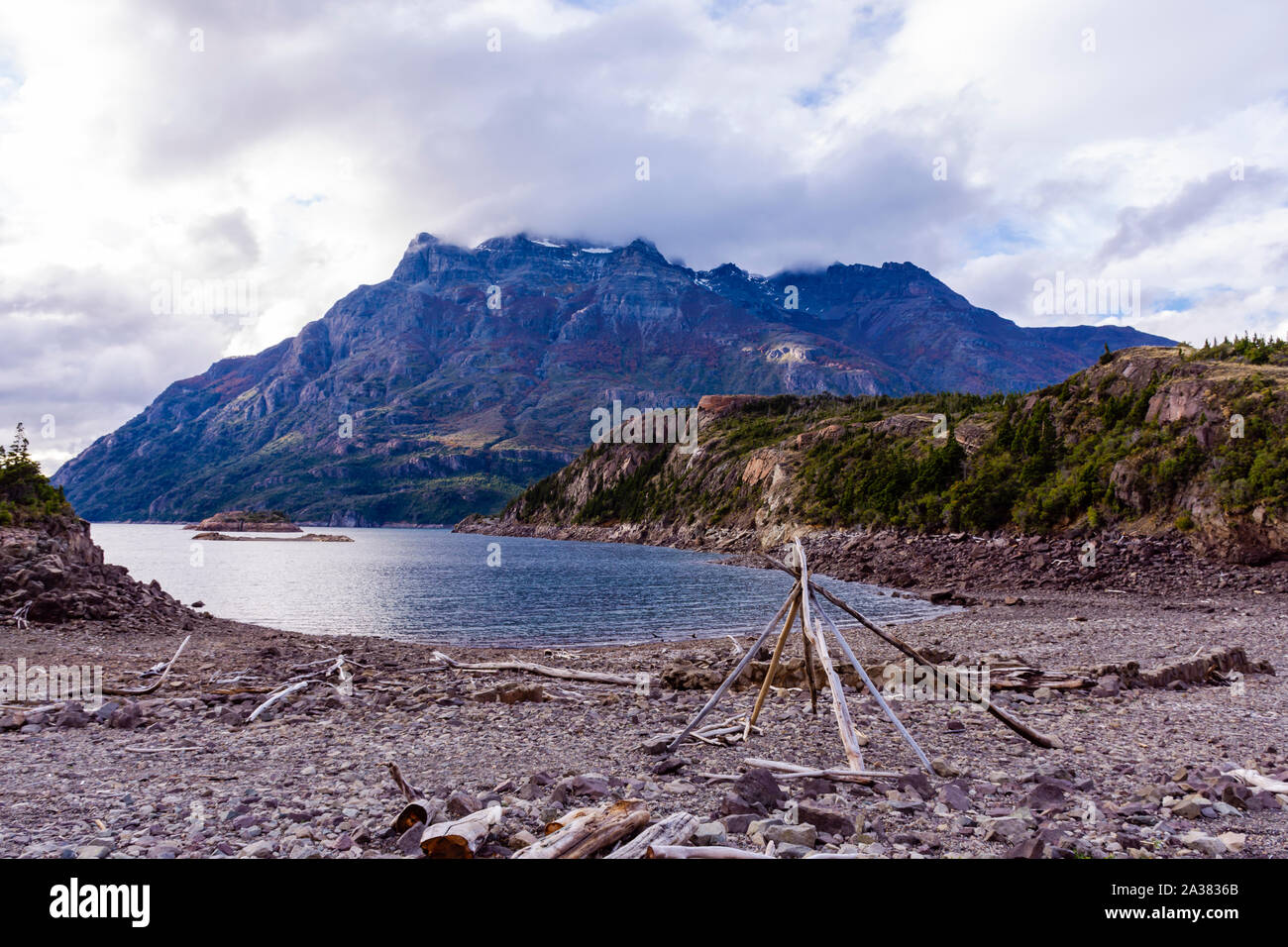 Scene view of a beach covered by sticks of dead trees dragged to the ...
