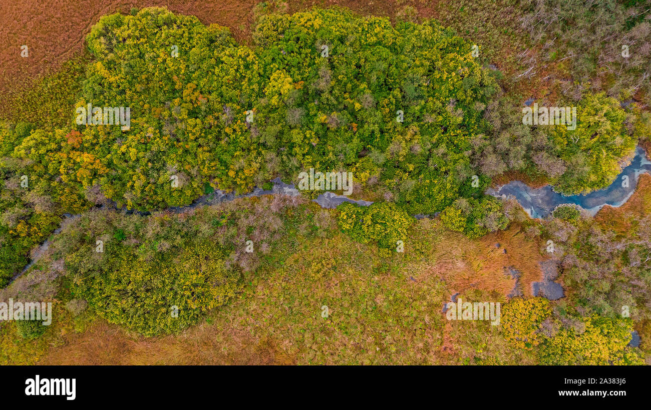 Aerial view above zelenci hi-res stock photography and images - Alamy