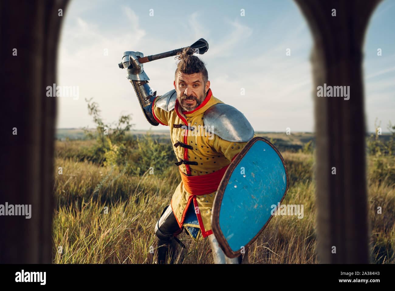 Medieval knight poses in armor opposite the castle Stock Photo - Alamy
