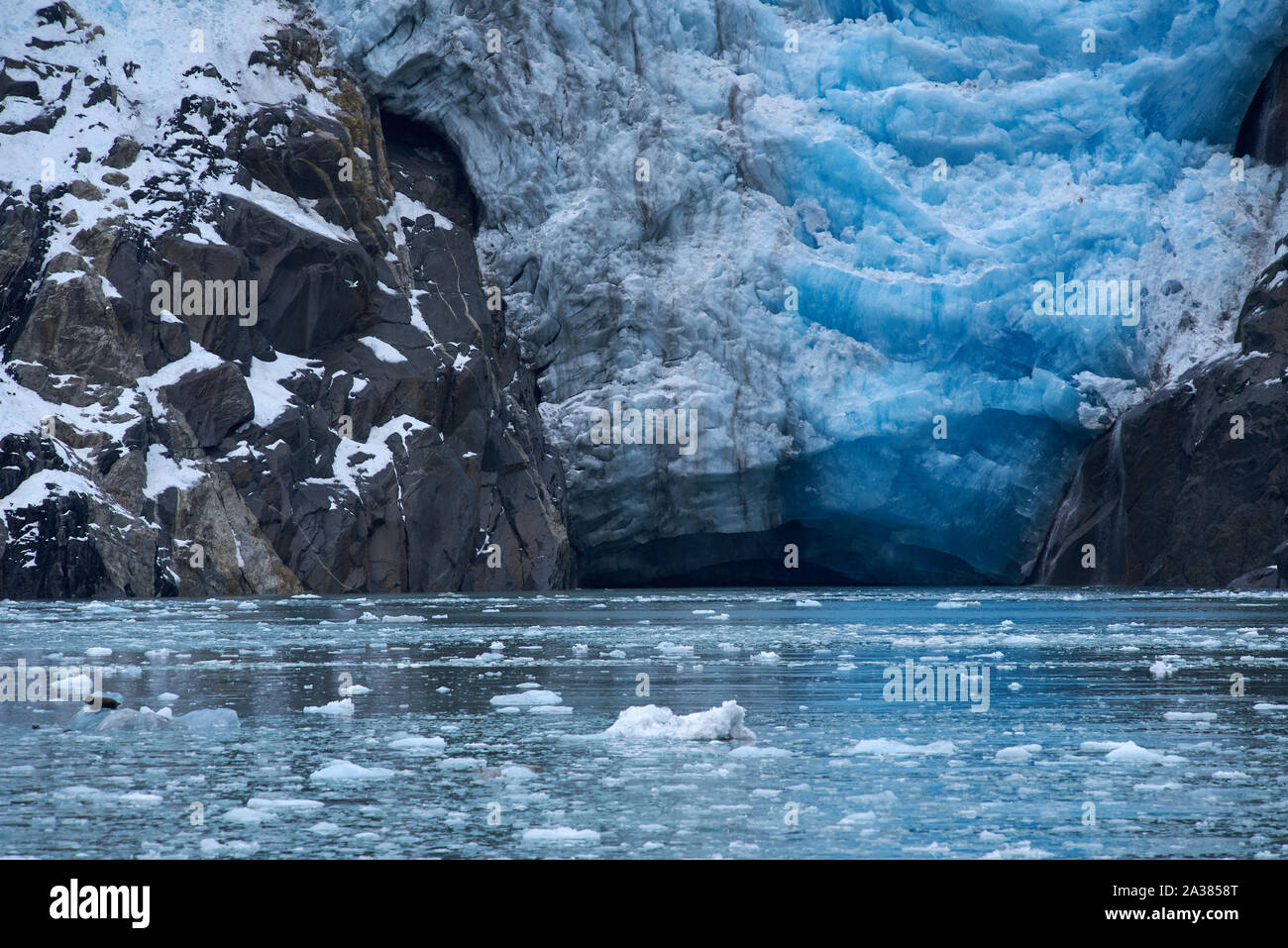 Vertically sloped, two-toned glacier tongue of Northwestern Glacier and ...