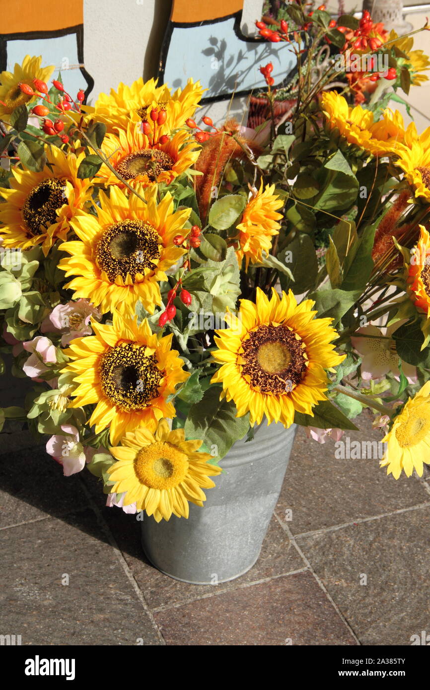 yellow sunflowers in a bucket Stock Photo - Alamy