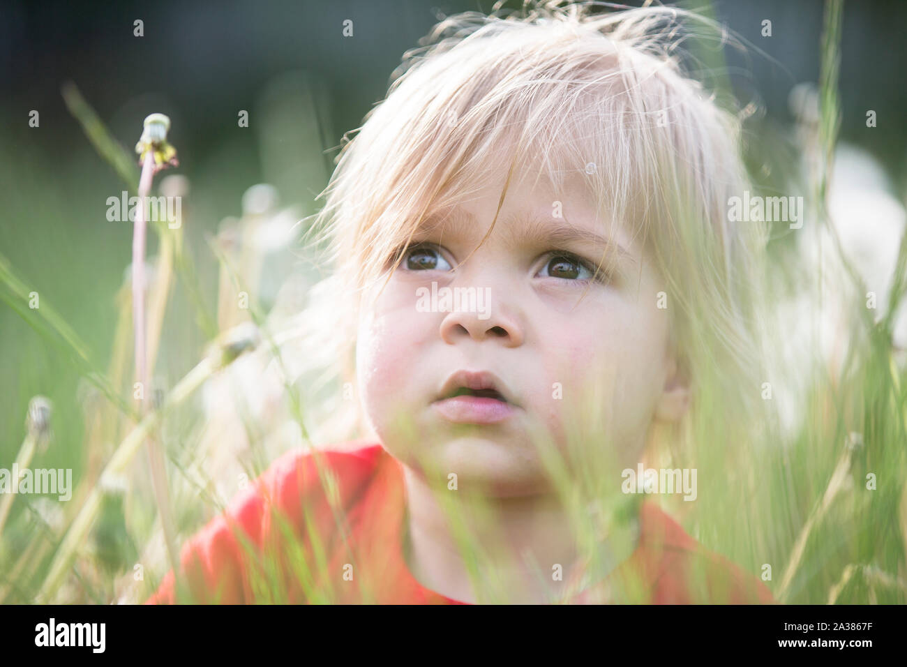 The face of a child in the green grass. Portrait of a kid in nature ...