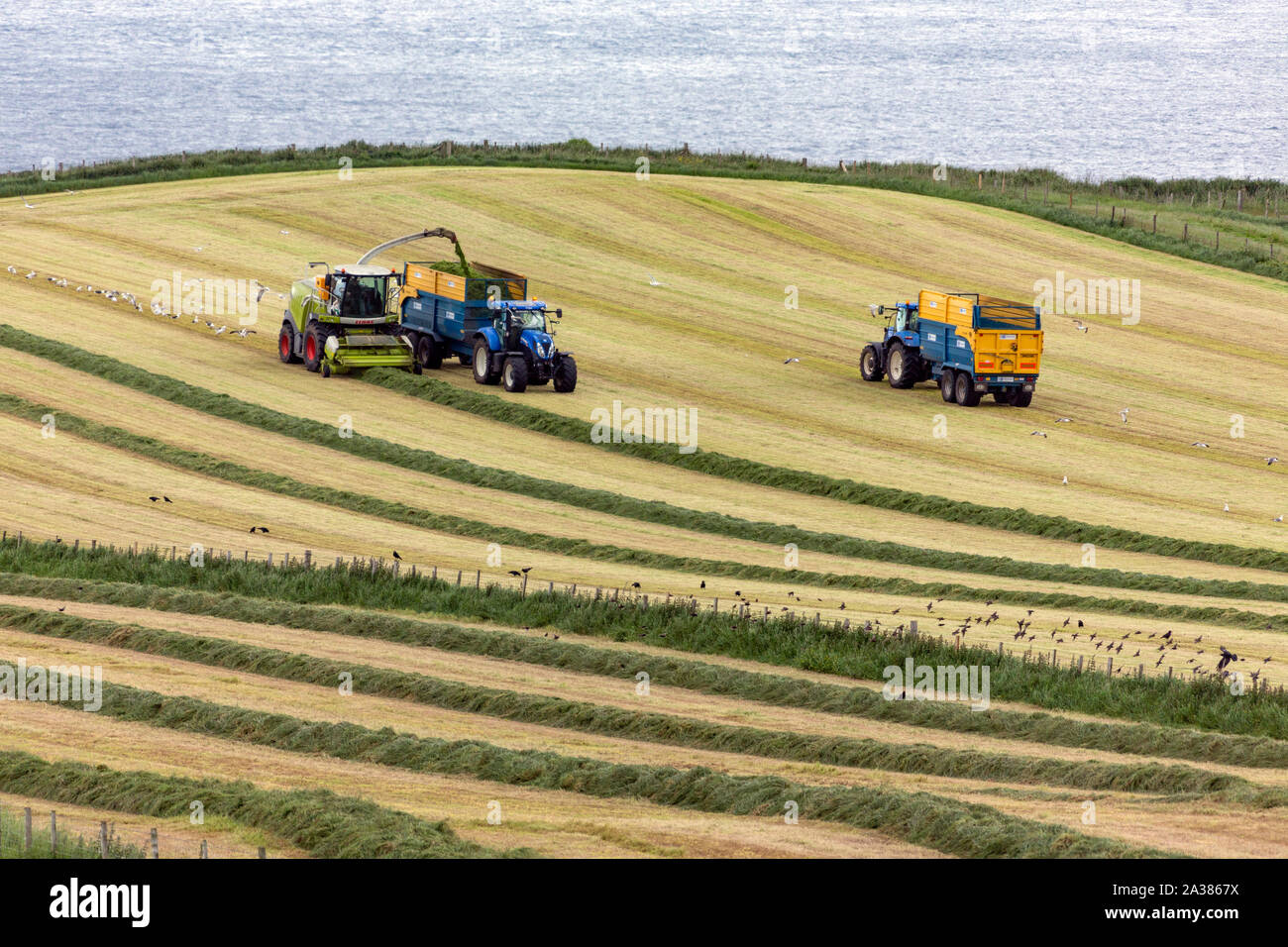 Silage fields hi-res stock photography and images - Alamy