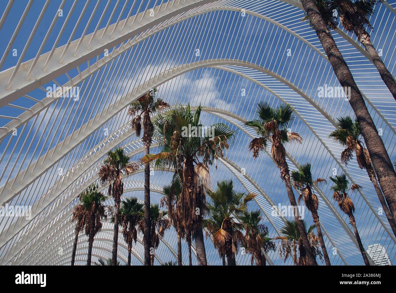 The umbracle valencia hi-res stock photography and images - Alamy