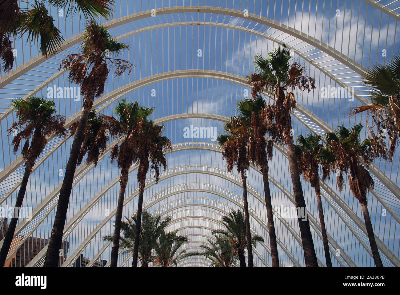 The Umbracle building at the City of Arts and Science in Valencia ...