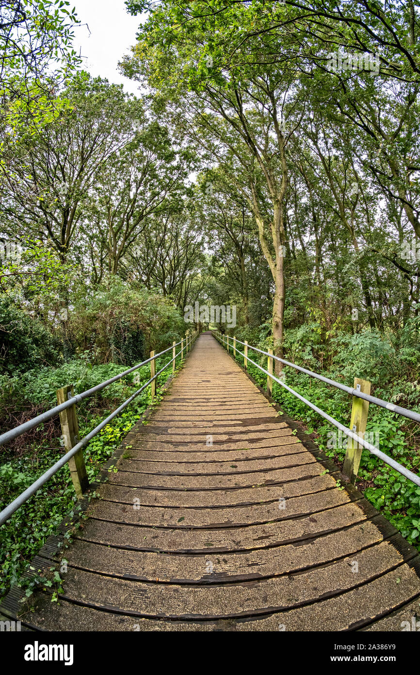 Wheelock Rail Trail High Resolution Stock Photography and Images - Alamy